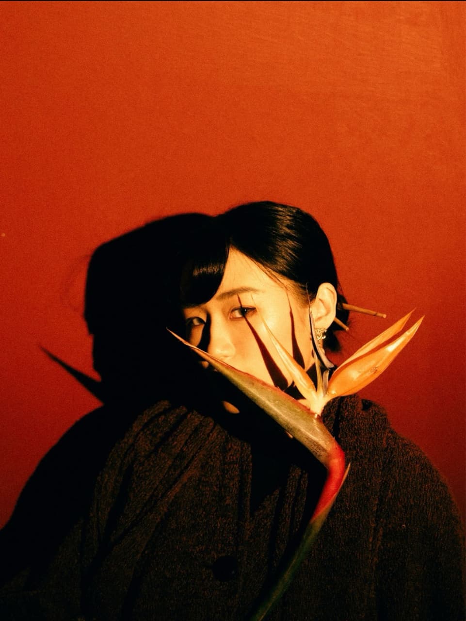 作品 大年初二 🐲 - 法蘭克福 (@frankucc) | Dcard