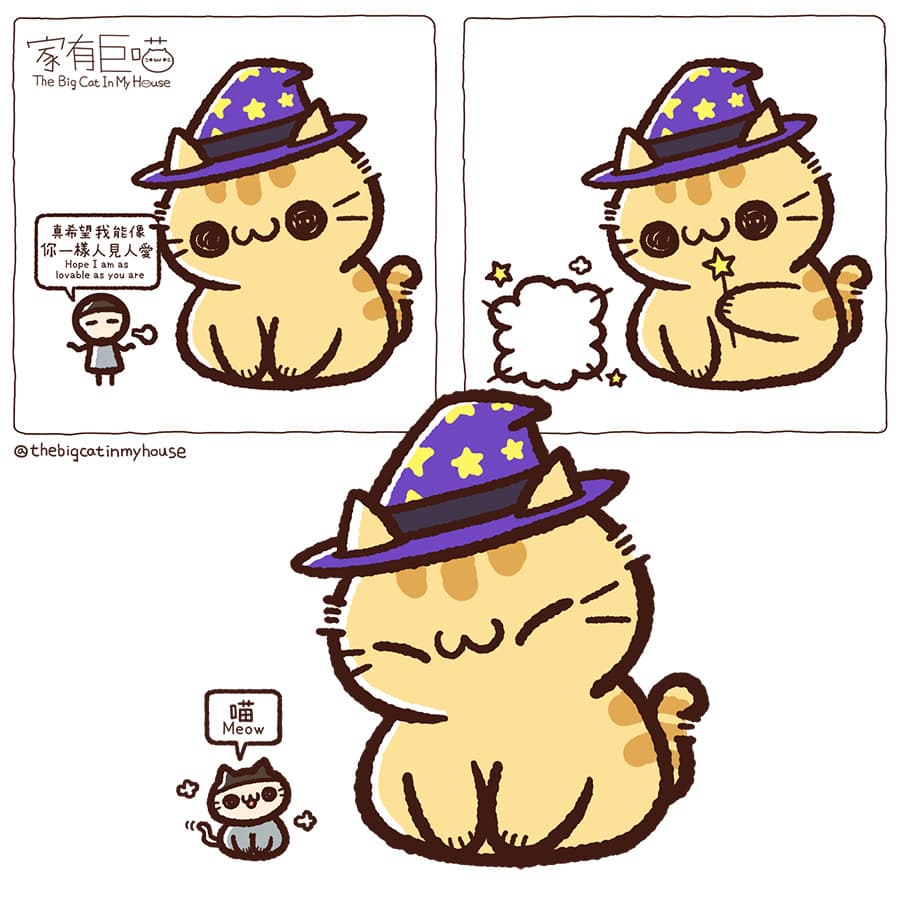 替你實現願望 make your dreams come true~meow - 家有巨喵 (@bigcatinmyhouse) | Dcard