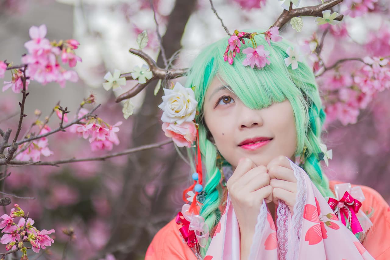 Fauna 櫻花正月 - Cosplay板 | Dcard