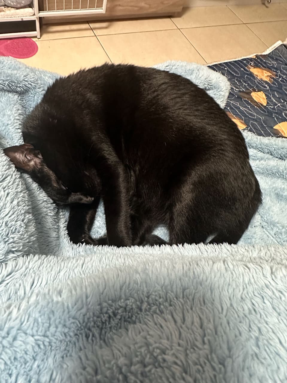 #懷孕 18週+6引產（內🈶照片慎入 - B8 留言 | Dcard