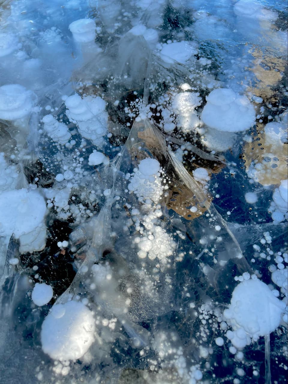 #國外遊記 俄羅斯.西伯利亞.貝加爾湖🇷🇺 - 旅遊板 | Dcard