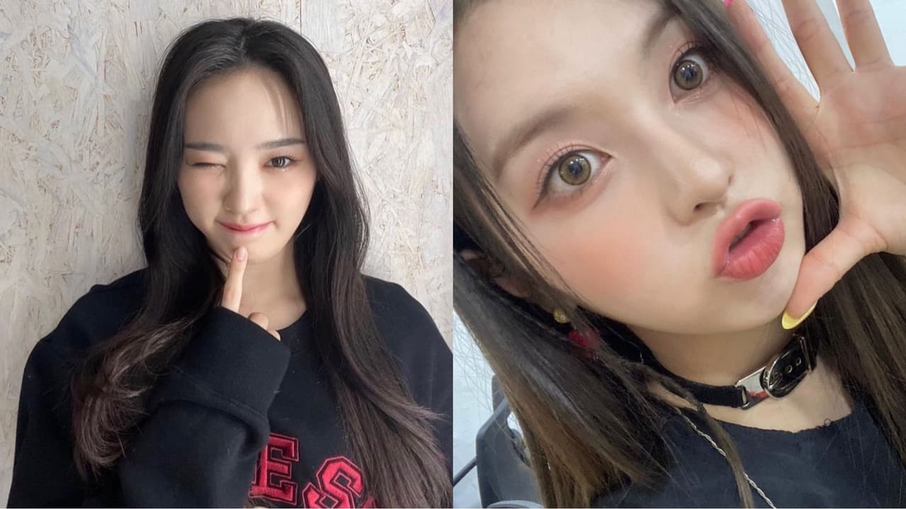 一些接歪批女團的MBTI&代表動物彙整 - ⠀ (@itztimefor_) | Dcard