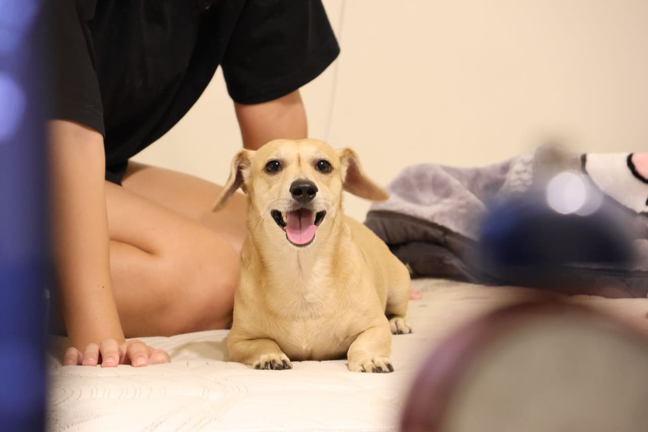 #長相 一直不知道自己長怎樣（已撤照） - B31-1 留言 | Dcard