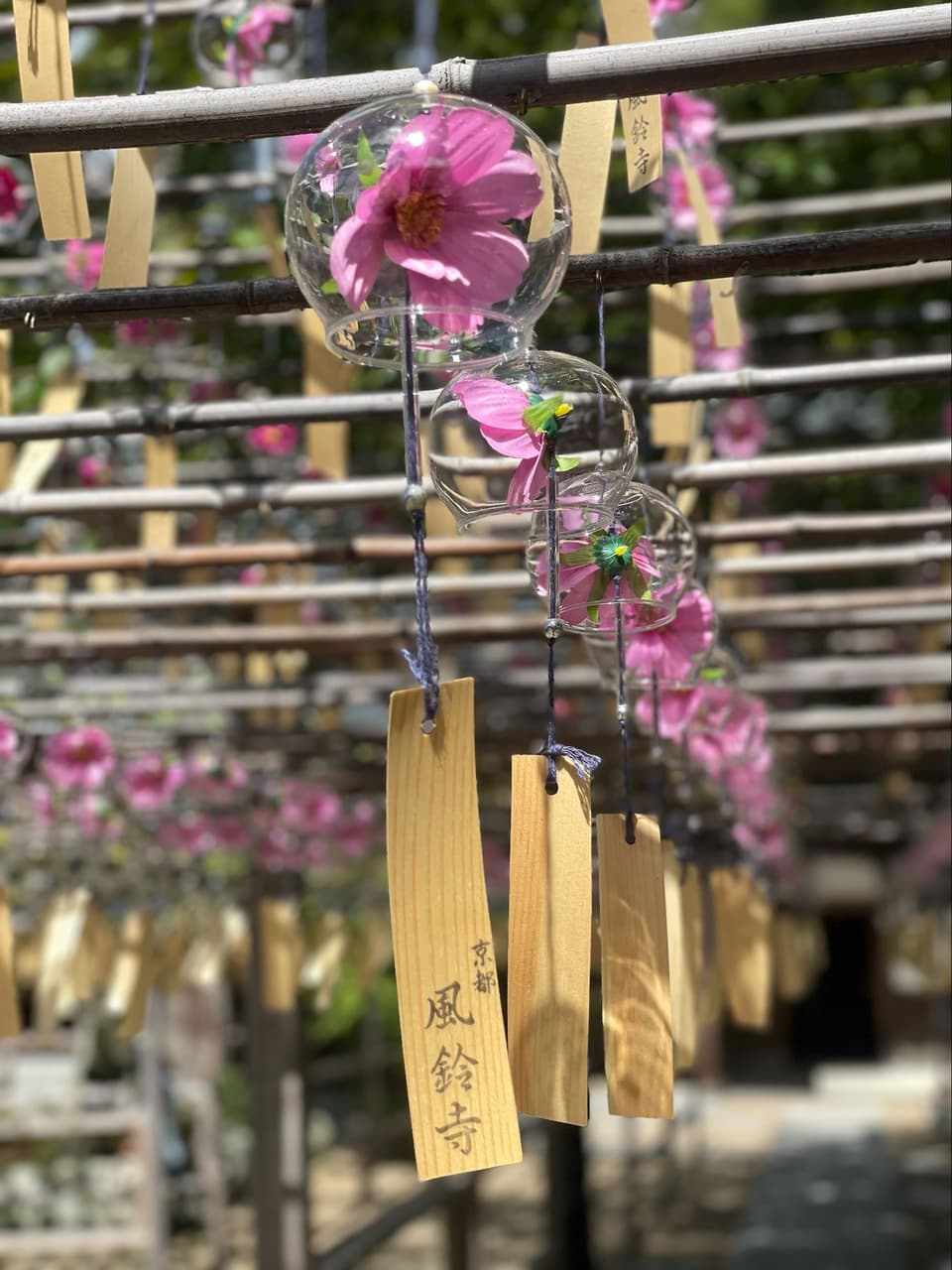 半冷半熱的京都大阪D2 - 日本旅遊板 | Dcard