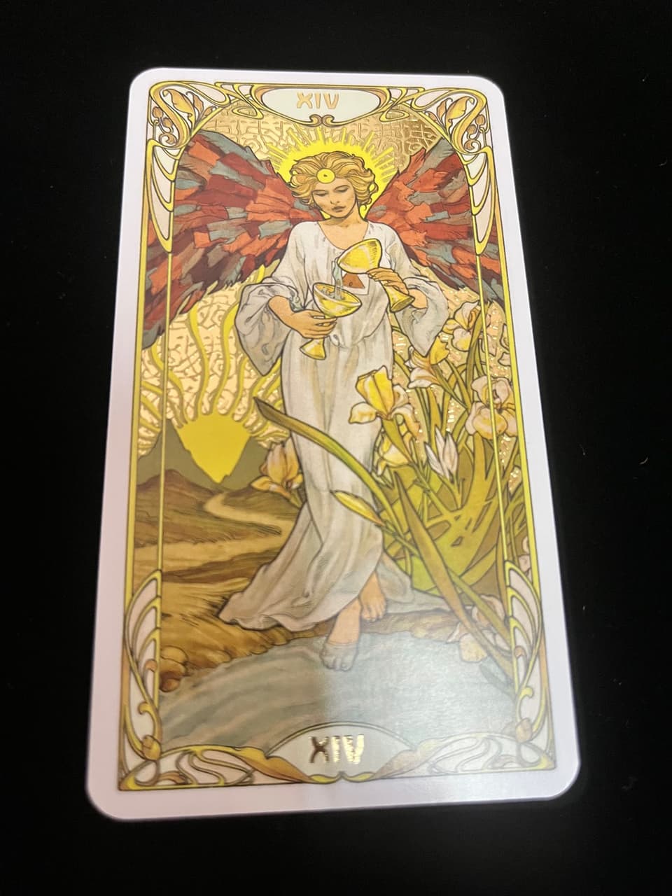 開箱📦黃金新藝術塔羅牌 🖤 Golden Art Nouveau Tarot - 𝘽𝙖𝙨𝙩𝙚𝙩 𝘿𝙞𝙖𝙧𝙮 (@ld02513) | Dcard