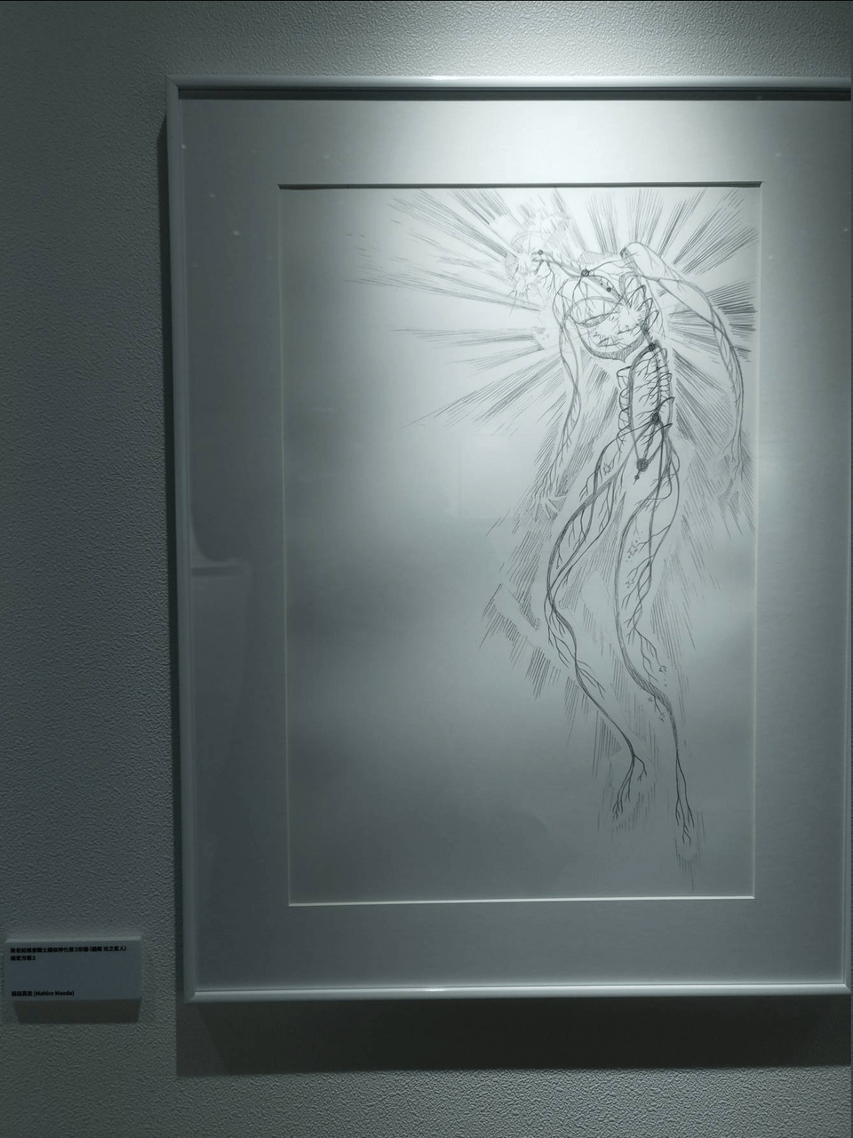 #心得 新世紀福音戰士展Visual Works - 動漫板 | Dcard