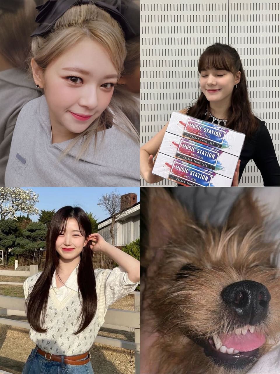 一些接歪批女團的MBTI&代表動物彙整 - ⠀ (@itztimefor_) | Dcard