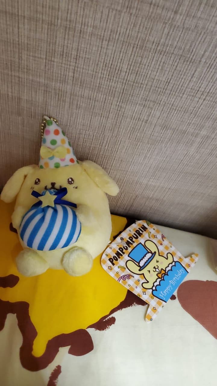 Funbid布甸狗絕版開箱文 - 閒聊板 | Dcard