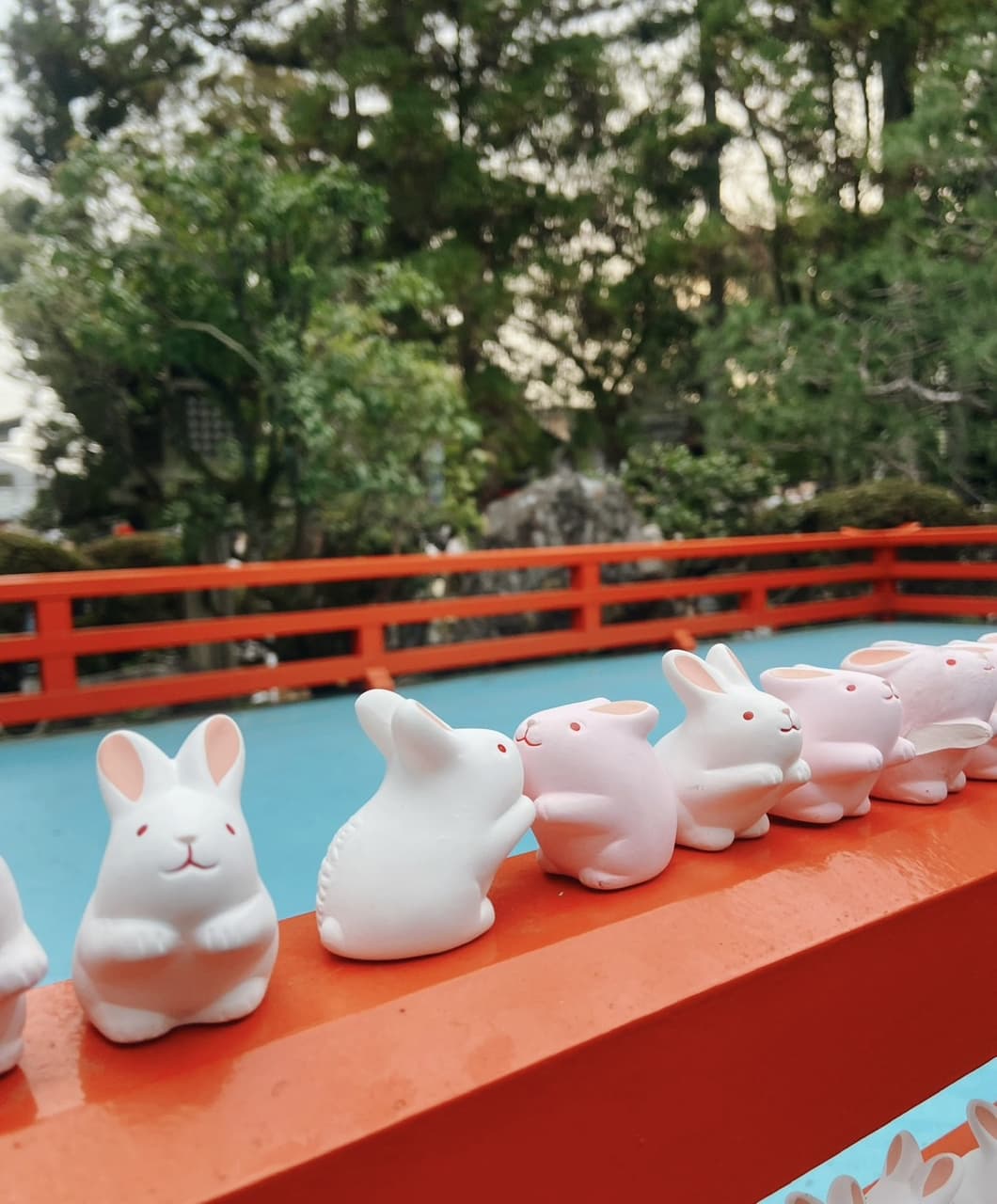 京都超可愛兔兔神社!! 兔年不去太對不起自己了吧~~ - 旅遊板 | Dcard