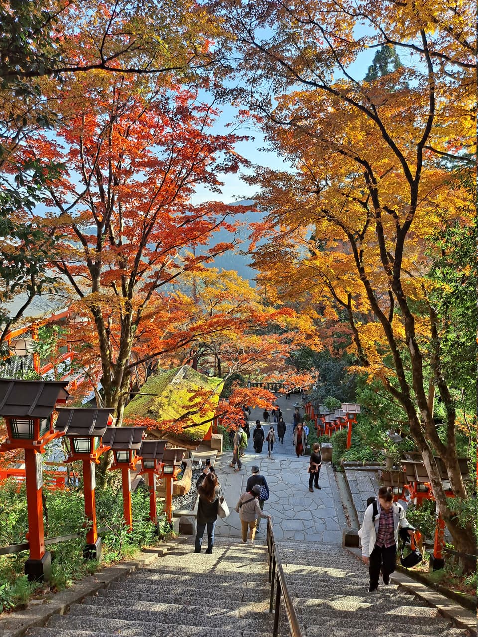 #分享 京都賞楓🍁17天自由行2 推薦景點篇 - 日本旅遊板 | Dcard