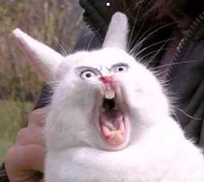 快樂完記得要關閉網頁 - 有趣板 | Dcard