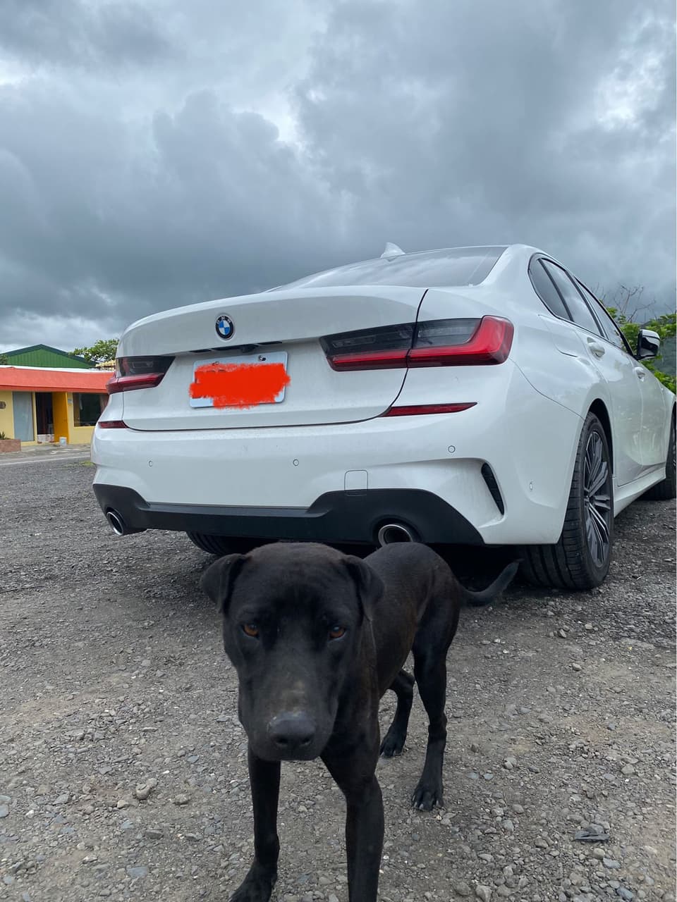 BMW 320i G20十個月的車主小心得 - 汽車板 | Dcard