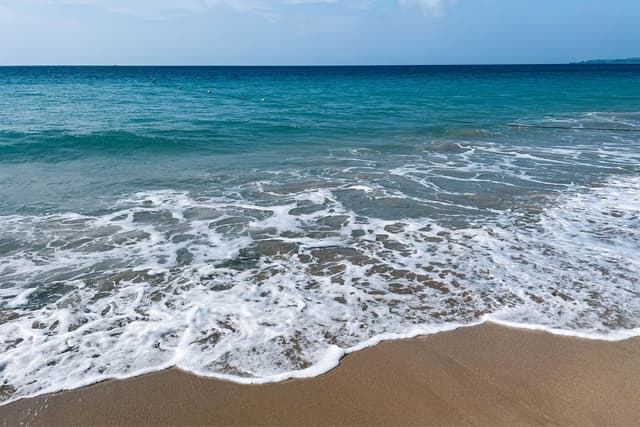 #分享 FLICA 底片相機APP📷（付費榜第一名） - 女孩板 | Dcard