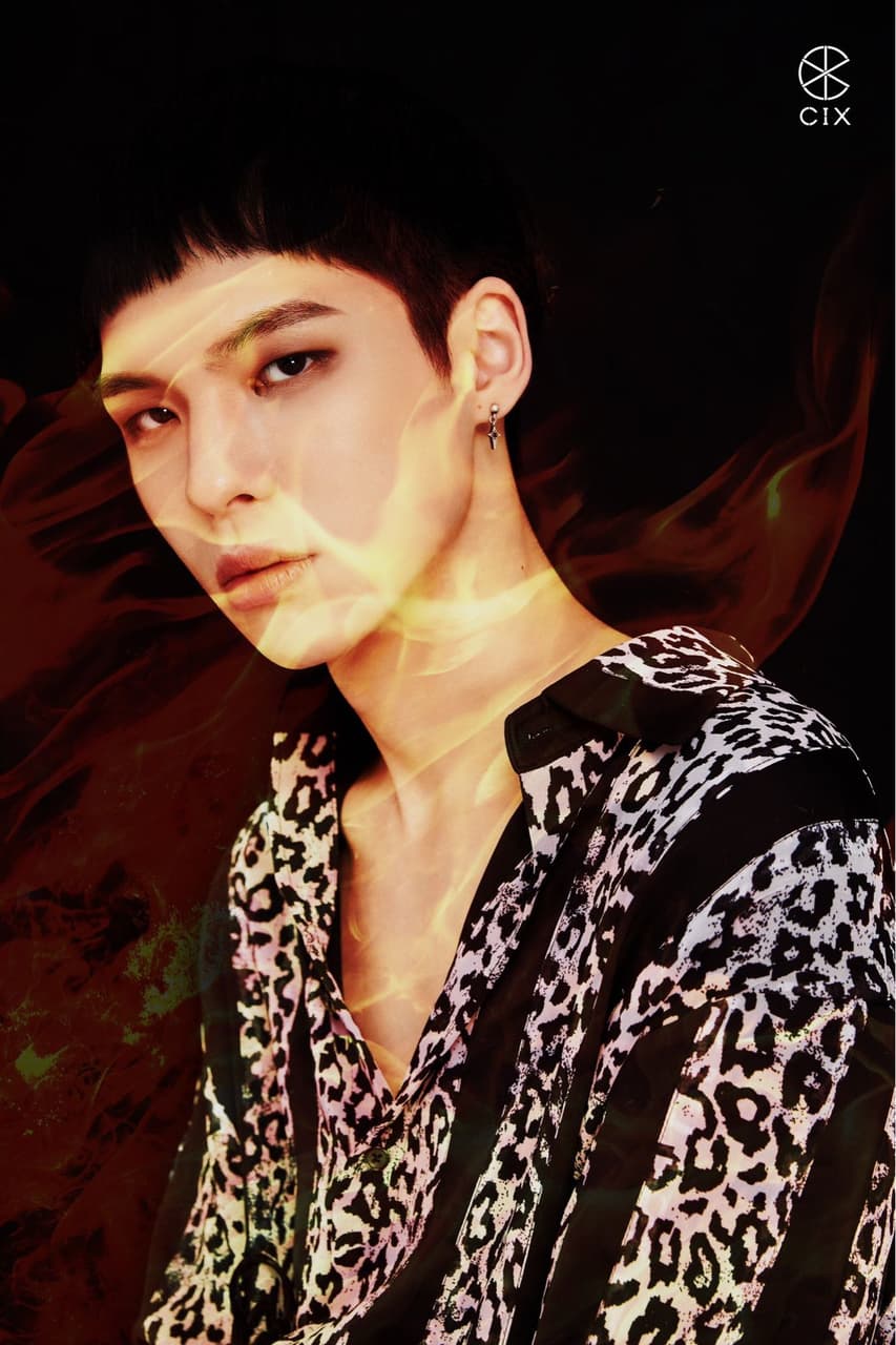 已更新/대박 사건 CIX6/30回歸啦 - 追星板 | Dcard