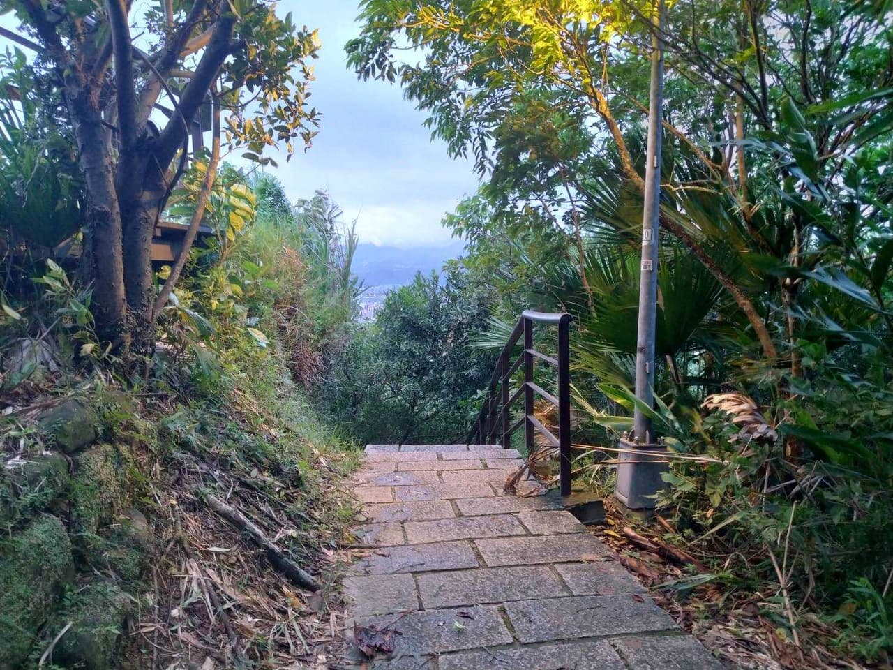 再向虎山行：風中的虎山 - 微風 (@wind333) | Dcard