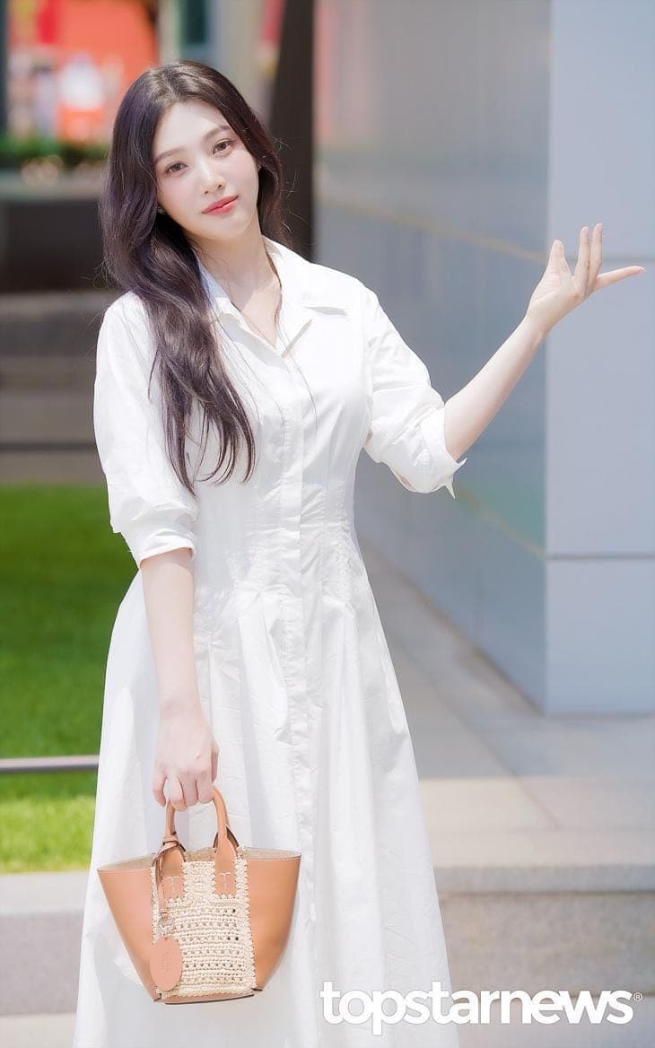 #分享 《TV 動物農場》上班路上的Joy - 追星板 | Dcard