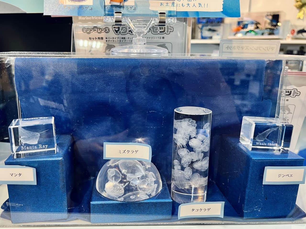 #國外遊記 沖繩不自駕自由行-必買伴手禮：美麗海水族館直營店 Umichurara 国際通店 - 旅遊板 | Dcard