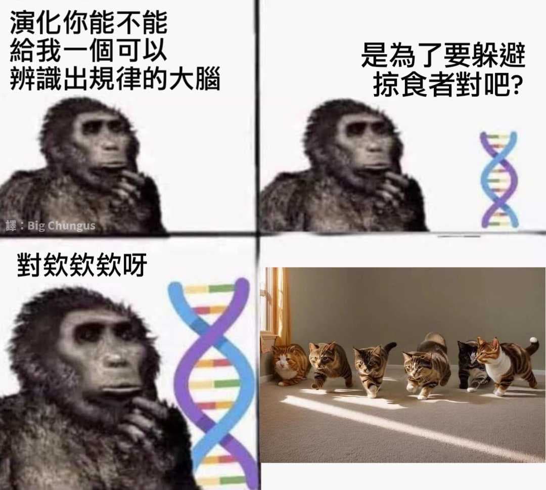 SAY GEX - 梗圖板 | Dcard