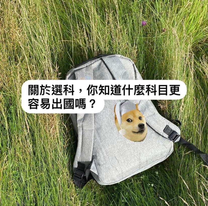 關於選科,你知道什麼科目更容易出國嗎? 閒聊板 Dcard