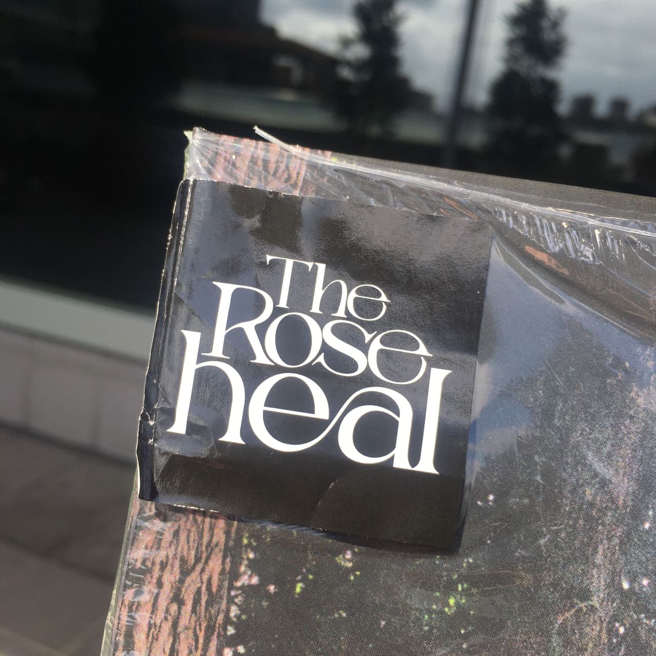 #分享 The rose《HEAL》黑膠唱片開箱 - 追星板 | Dcard