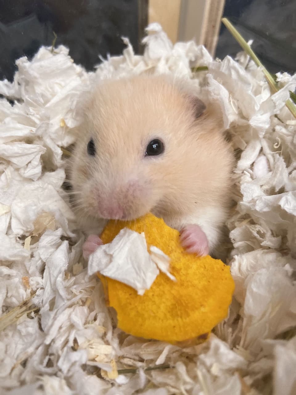 關於我的幾件事👩🏻 - Ann💕 (@ann_aug2) | Dcard