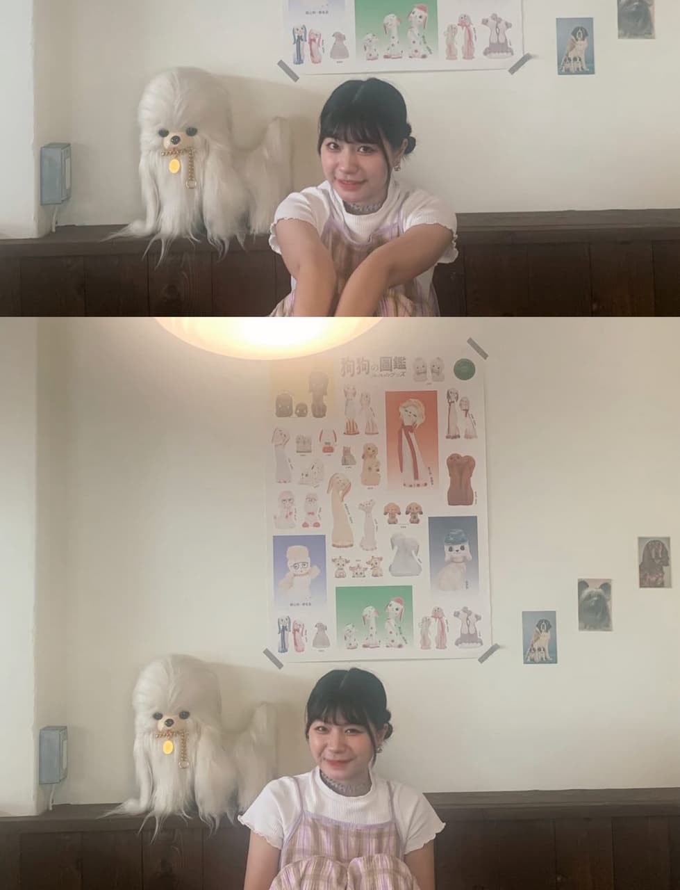 #推薦 超可愛的狗狗咖啡廳🐶wakamodog - 小野芮 (@cerise_2002) | Dcard