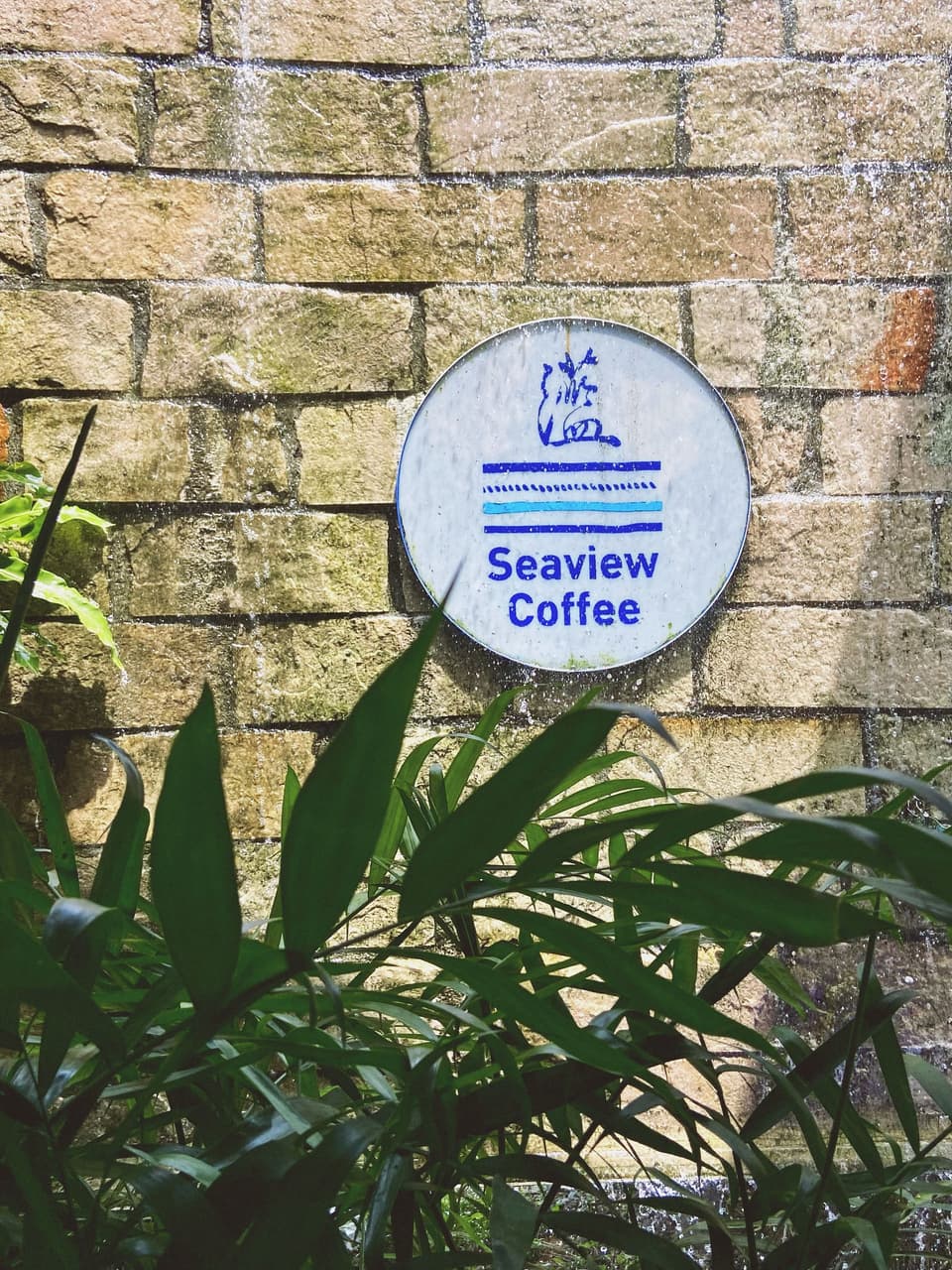 一日遊系列：隨心出發！東北海岸的絕美海景 #我的人生自由式 - 遊台灣。趣旅行 (@sandy_1995) | Dcard