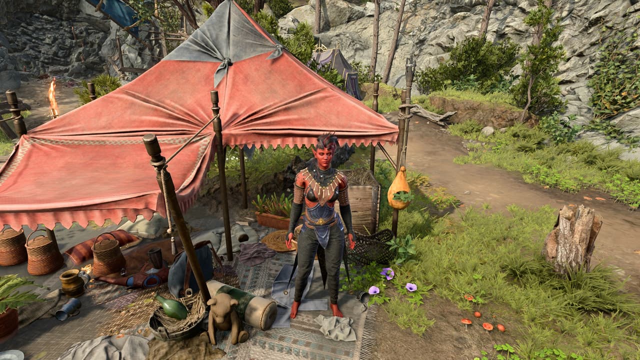 【MOD分享】外觀&服裝mod - 柏德之門板 | Dcard