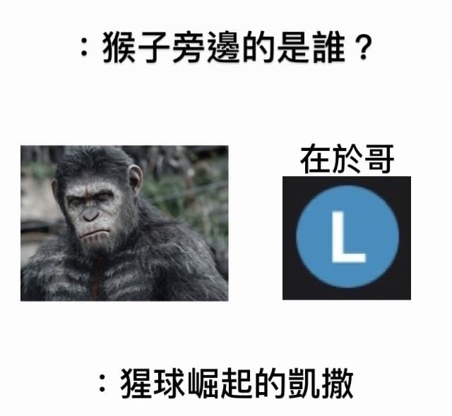 哪來的猴子 - 梗圖板 | Dcard