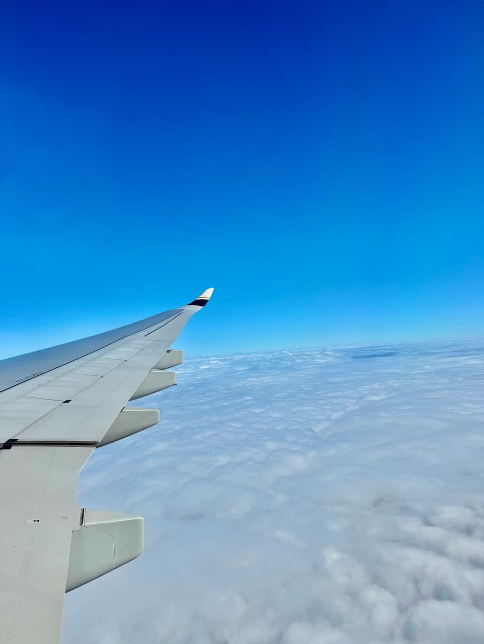 #國外遊記 #國外遊記 香港四天三夜分享 D1 - 旅遊板 | Dcard