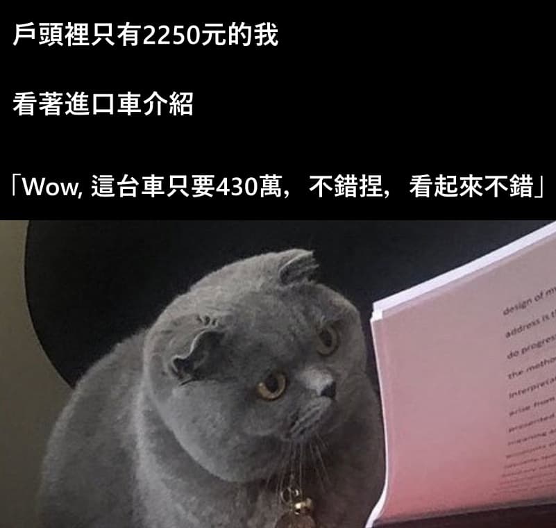 翻譯 這我 梗圖板 Dcard