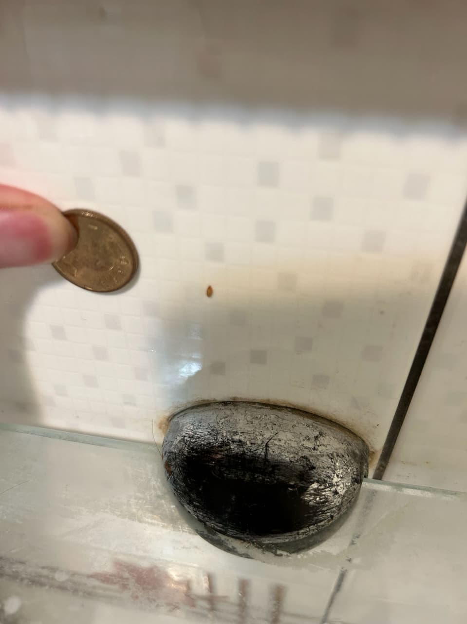 請益 請問這是什麼蟲的卵 昆蟲板 Dcard