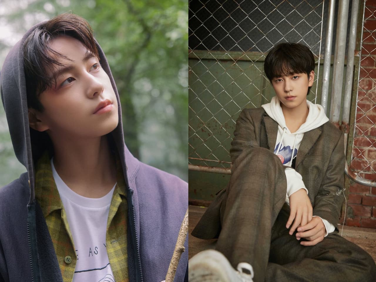 #分享 HYBE日本男團&TEAM出道資訊 - 追星板 | Dcard