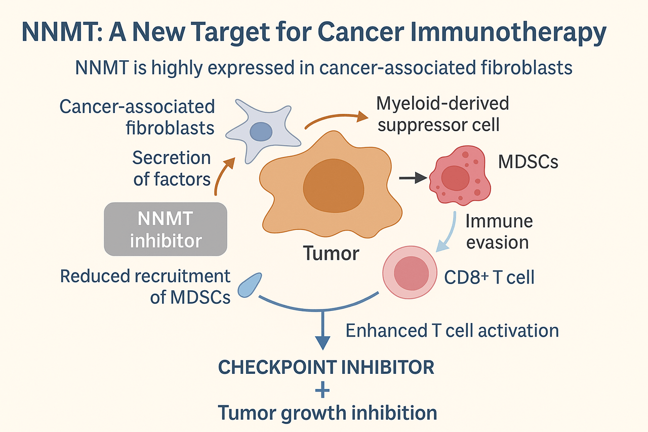 【Nature新突破🔬：發現癌症免疫治療新標靶—NNMT】 - 藥時事 Drugnews (@drugnews) | Dcard