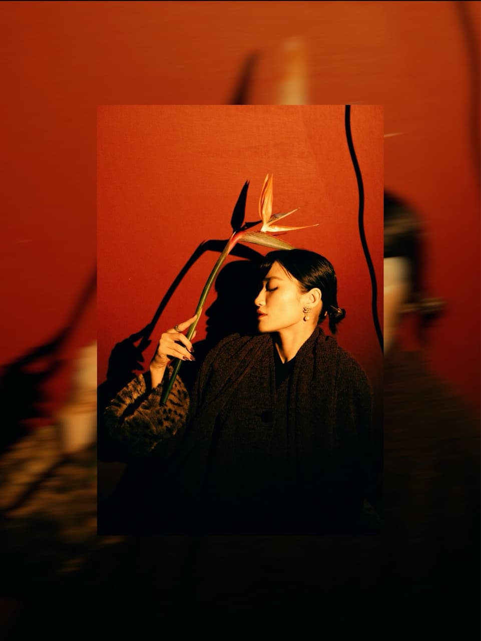 作品 大年初二 🐲 - 法蘭克福 (@frankucc) | Dcard