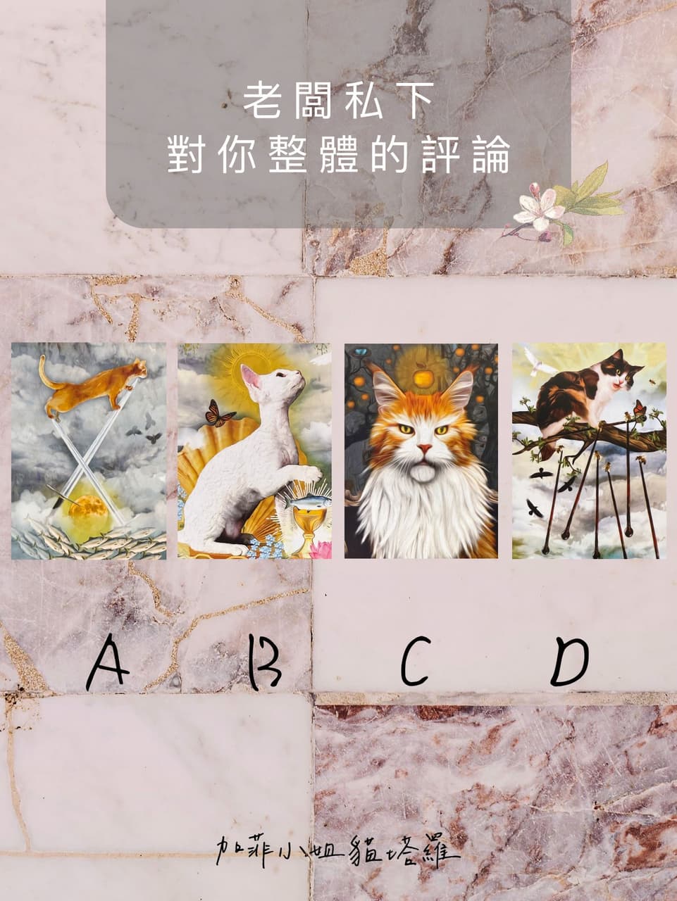 「塔羅」大眾占卜-老闆對你私下的評論 - 加菲小姐貓塔羅 (@garfield_tarot) | Dcard