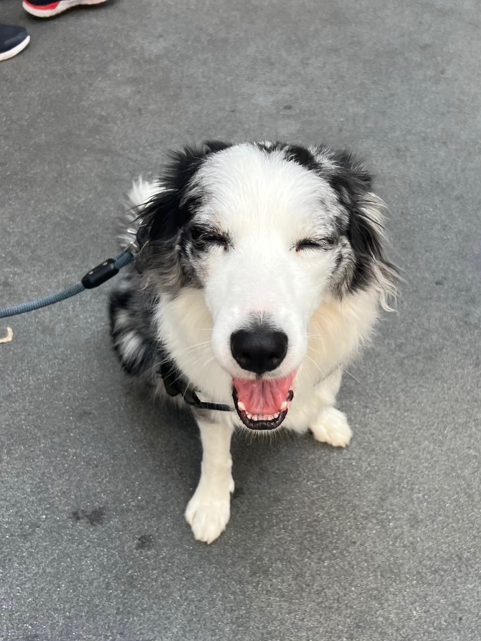 #更新 220824 多榮 UNIVERSE FNS - 宇宙少女板 | Dcard