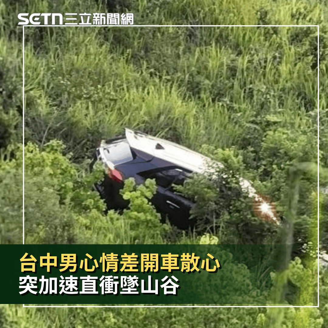 台中男心情差開車散心！突加速直衝墜山谷⋯連人帶車驚悚卡樹叢 - SETN三立新聞網 (@setn54) | Dcard