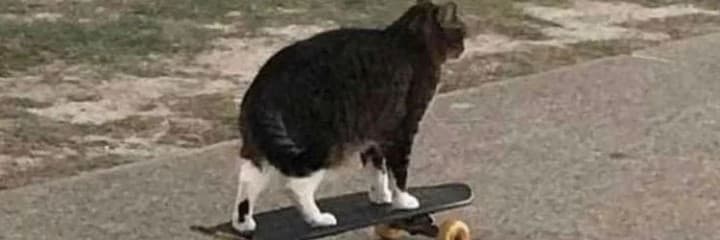 不客觀青年 (@immortality) | Dcard