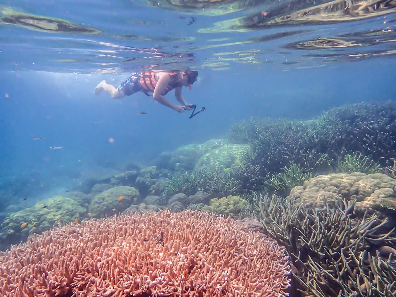 #巴拉望旅遊 帶你去看我的秘境Port Barton（巴頓港） - 把菲律賓放進護照裡 (@iris.pai.pai) | Dcard