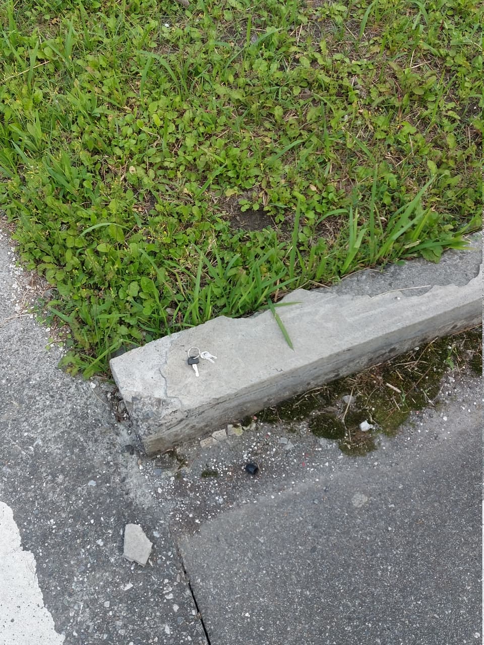 有人鑰匙掉了嗎 東華大學板 Dcard