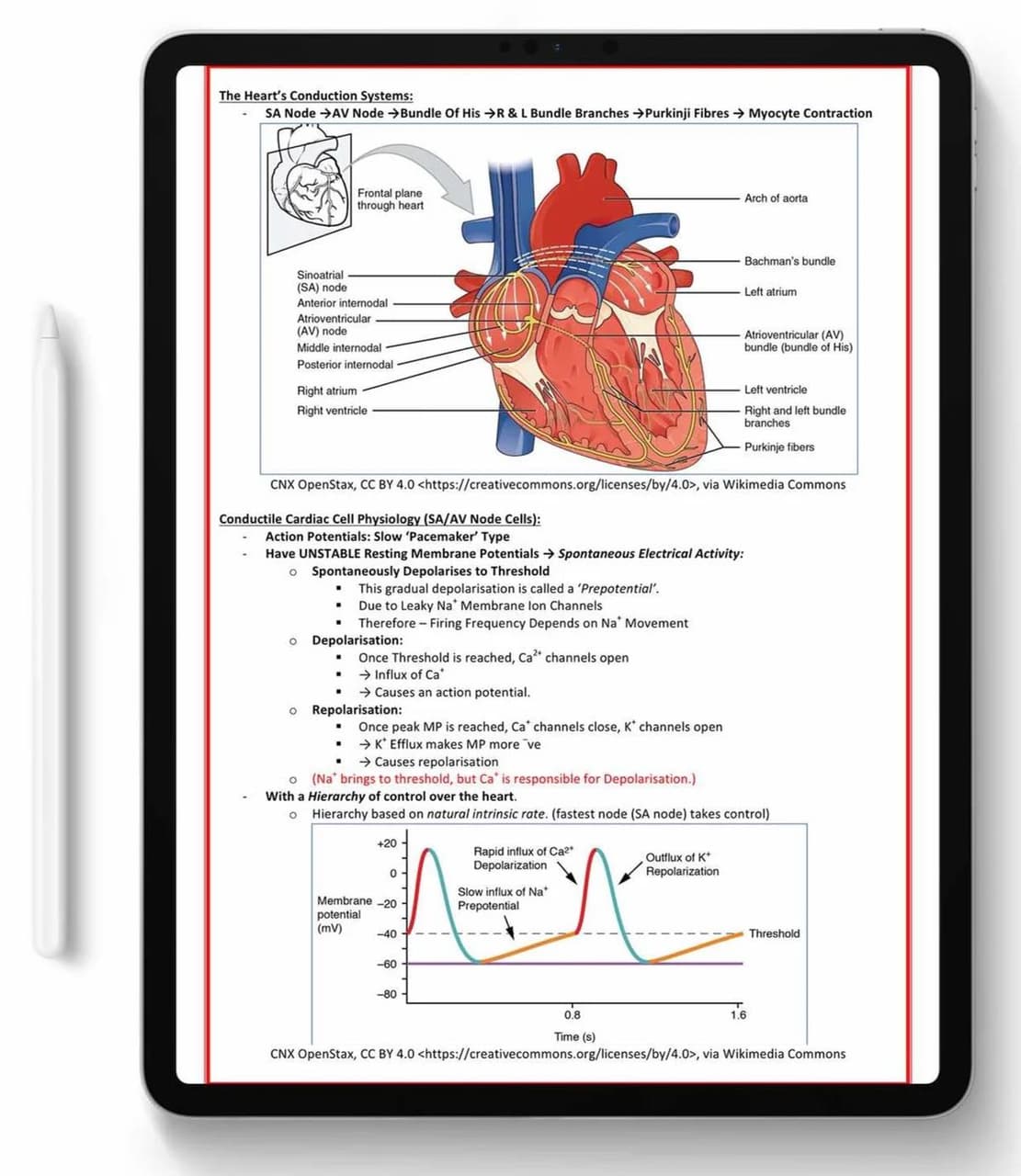 Sell med student notes w/ handsome price 平賣醫科筆記 - 港澳 u life板 | Dcard