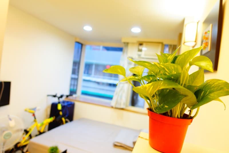 #男孩版 What’s in my room - B56 留言 | Dcard