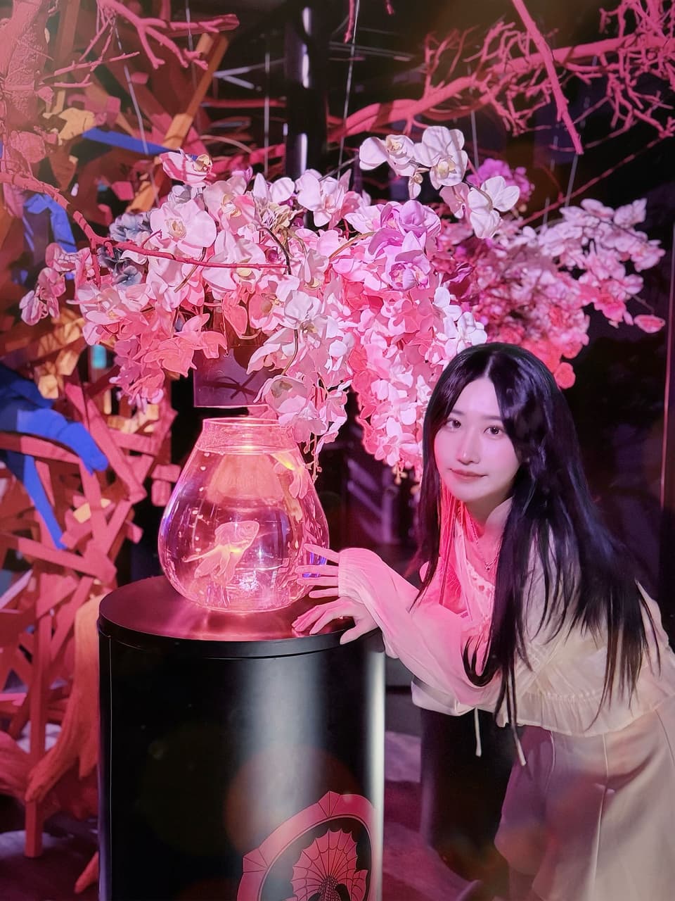 來自東京的金魚藝術展在台北快閃！ - 想睡覺的鼠 (@ayanezu) | Dcard