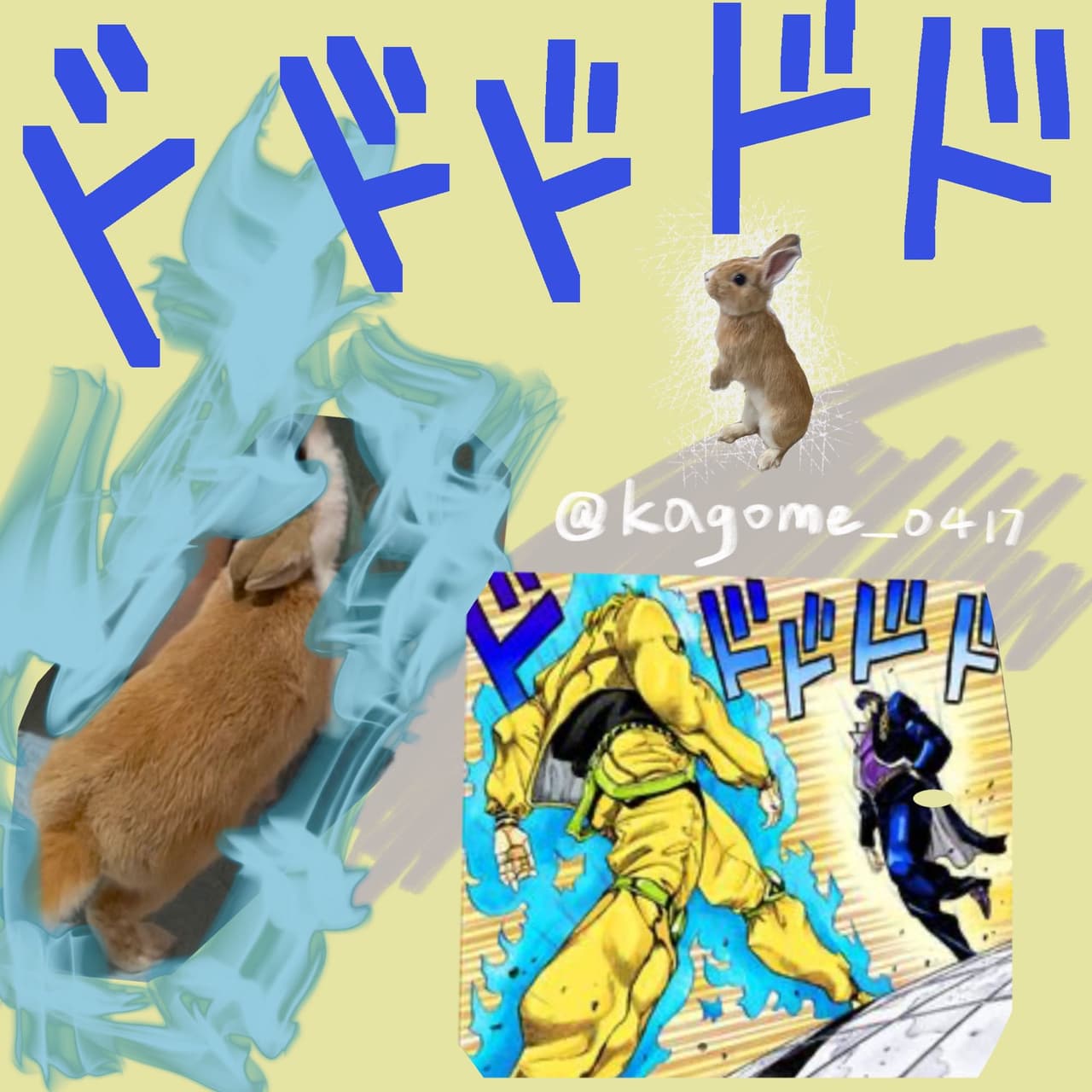 我的兔子會JOJO立 - 有趣板 | Dcard