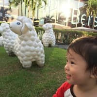 小肥魚魚 (@smallfatfish) | Dcard