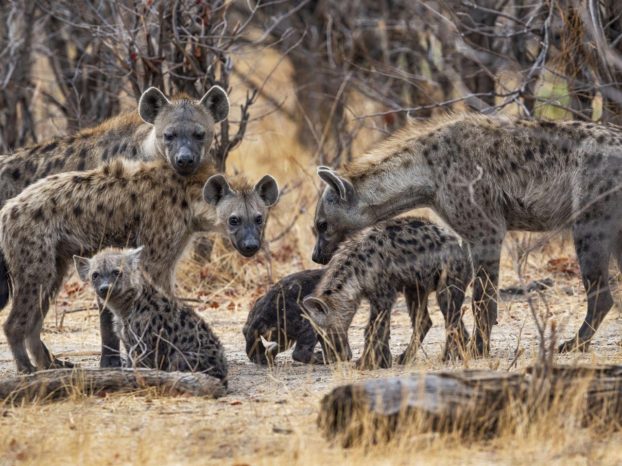 #分享 魔藥學上課囉（下篇） - 哈利波特：魔法覺醒板 | Dcard