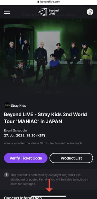 #分享 線上演唱會購買流程 Beyond Live - Stray Kids板 | Dcard