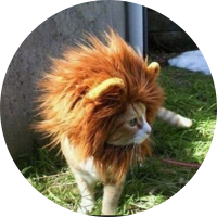 那個🦁️ (@raaaaar) | Dcard