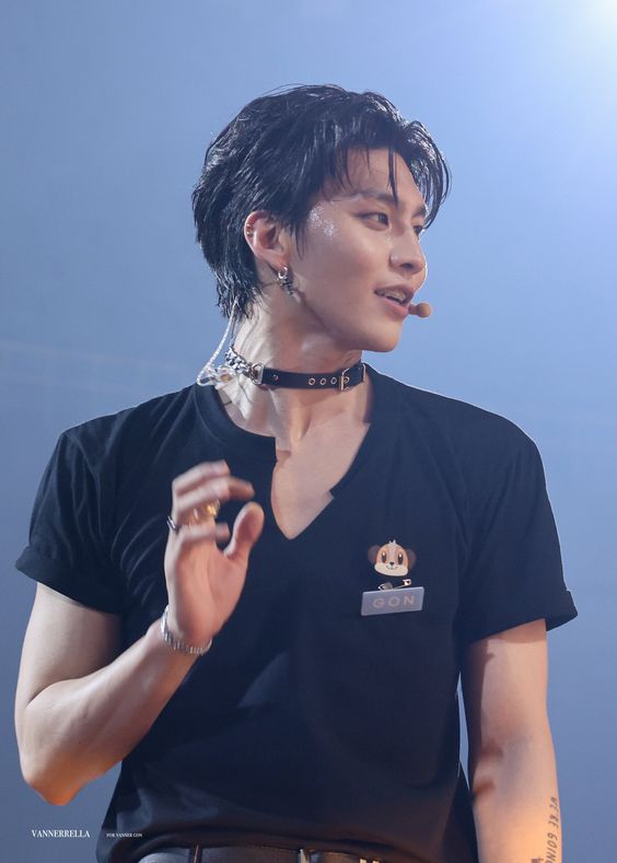 #分享 peak time 冠軍 VANNER的成員介紹 No.2 GON - 追星板 | Dcard